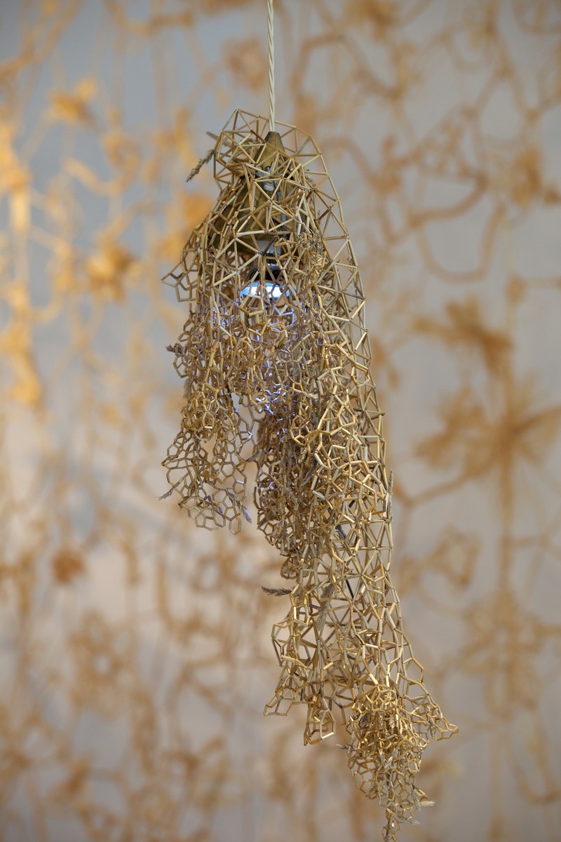 The Lacemaker · Tord Boontje